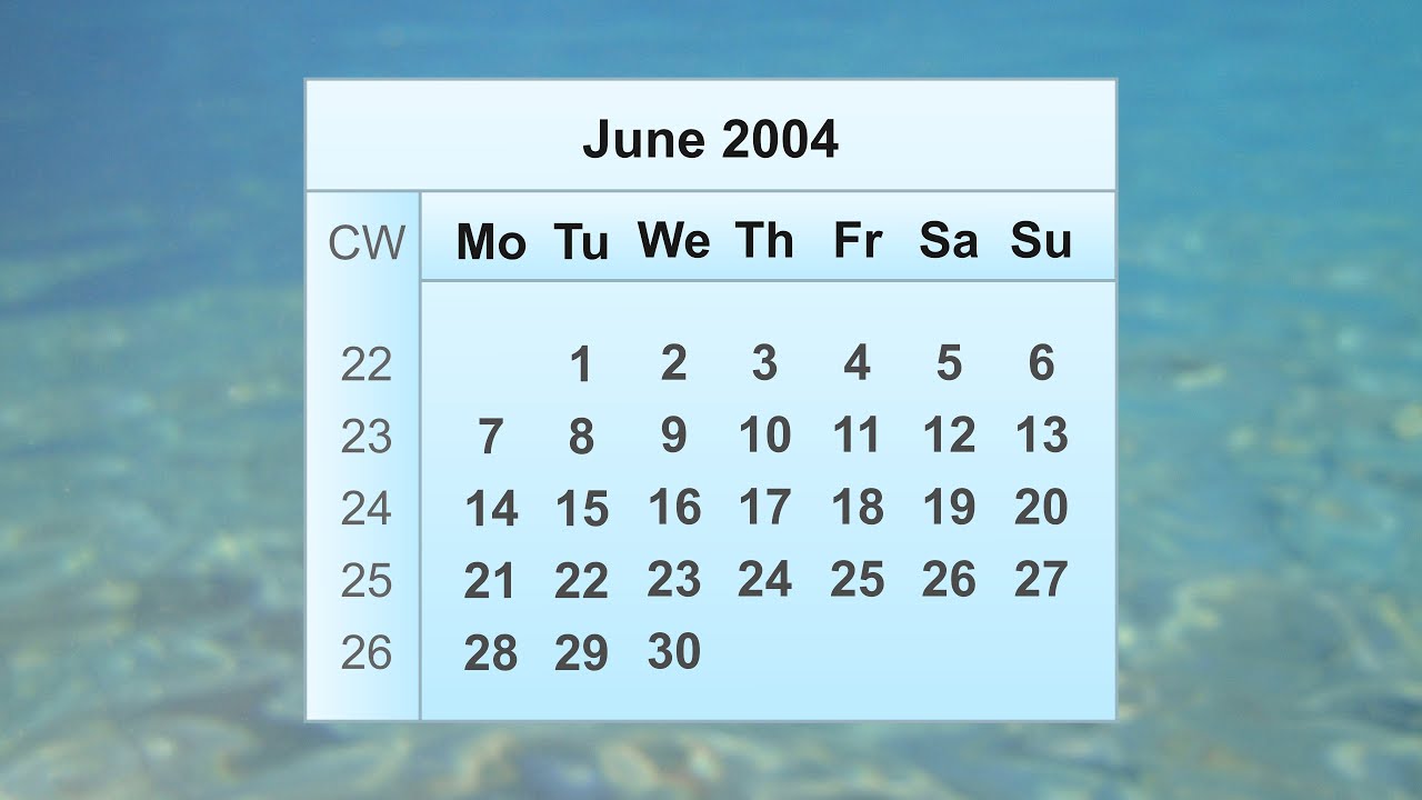 June 2004 Calendar