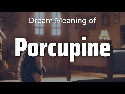 Porcupine Dream Meaning & Symbolism | Interpretation Psychology