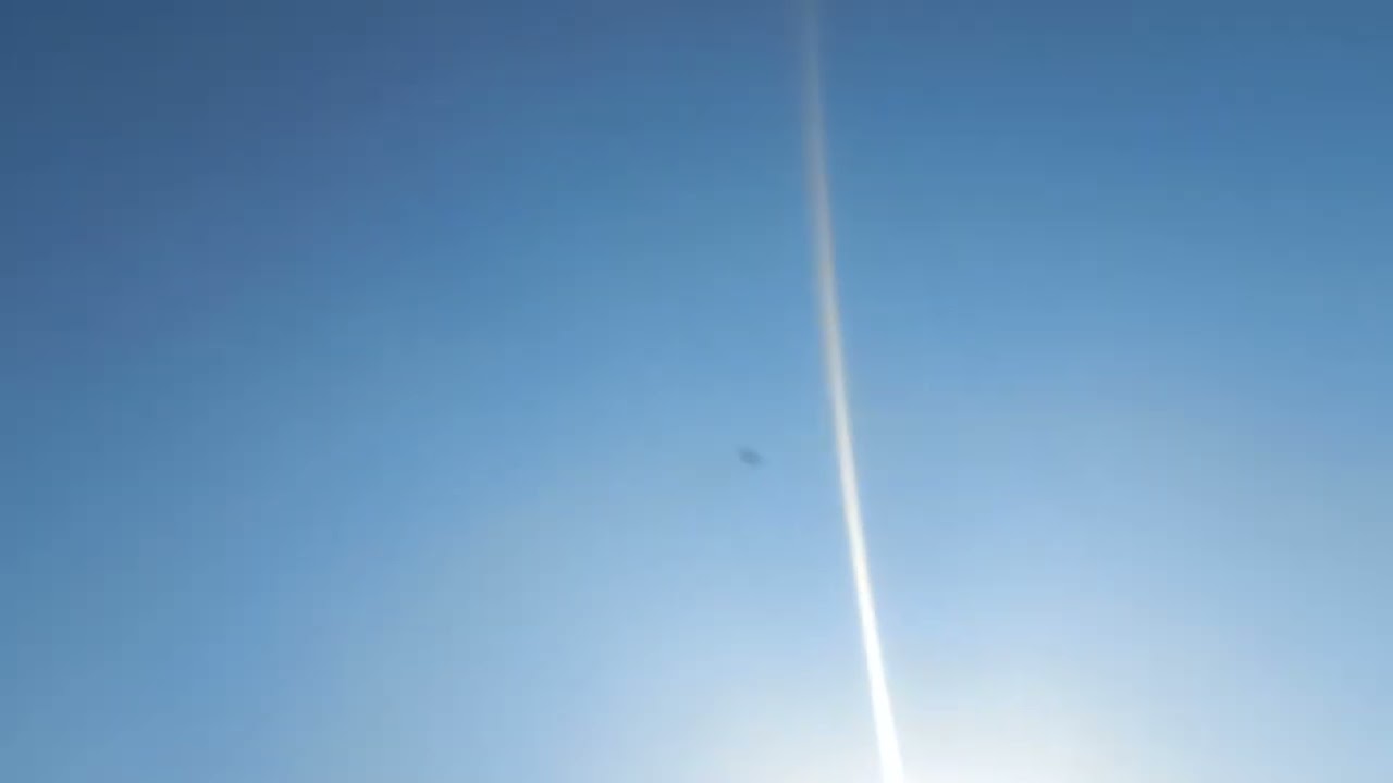 3d printed flying fish Aerobatic Glider