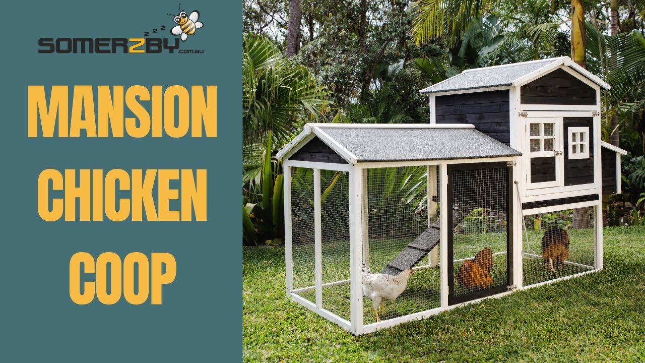 Somerzby Mansion Chicken Coop