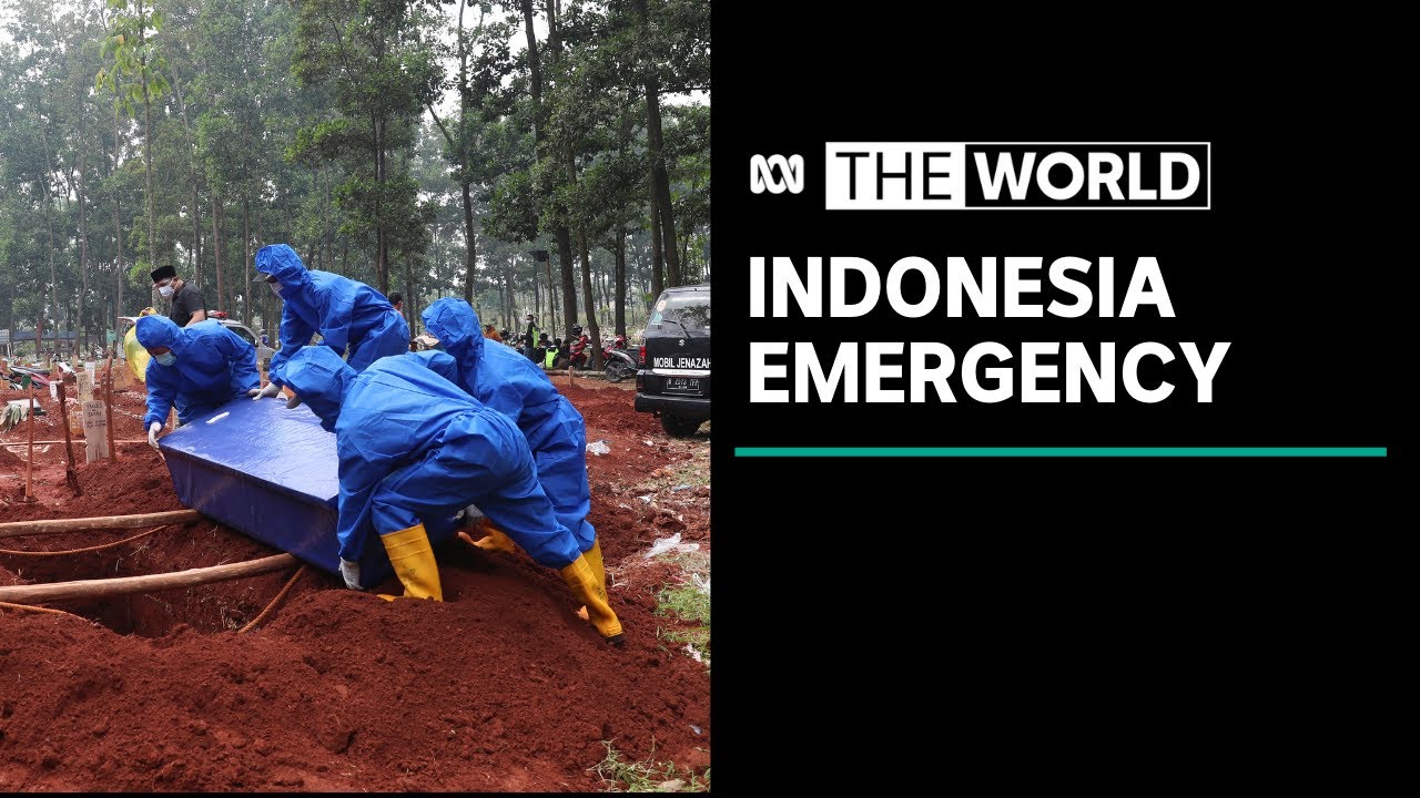 Indonesia extends emergency restrictions to fight second wave of COVID-19 | The World