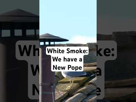 White smoke...we have a POPE!