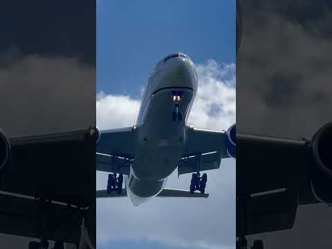 United from Charles De Gaulle CDG landing at IAD #aviation #aviationlovers #aviationdaily