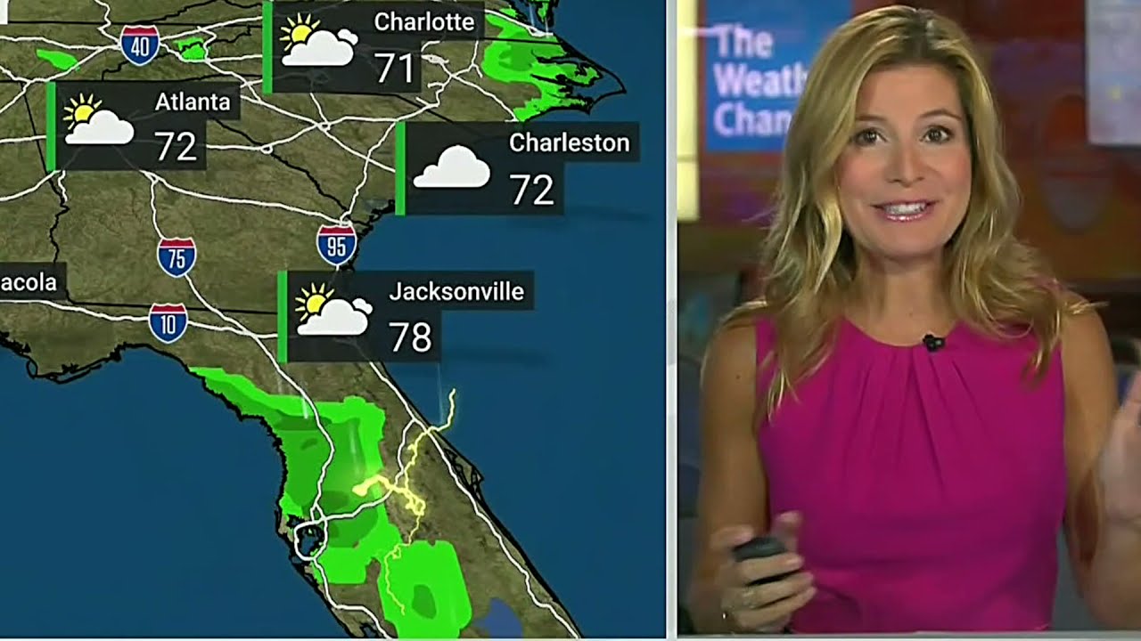 Jen Carfagno - The Weather Channel - Purple Sleeveless Dress - Profile View - Easy On The Eyes