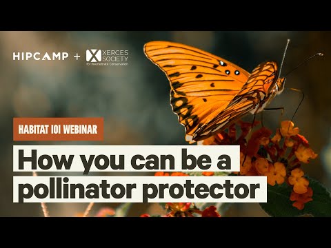 Hipcamp + Xerces Society | Project Monarch: Habitat 101