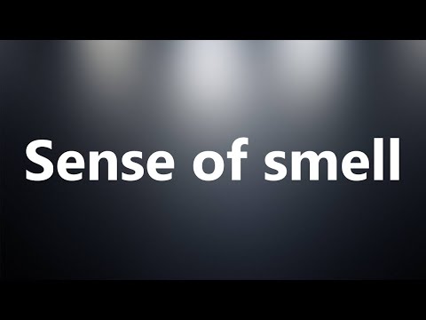 Sense of smell - Medical Meaning and Pronunciation
