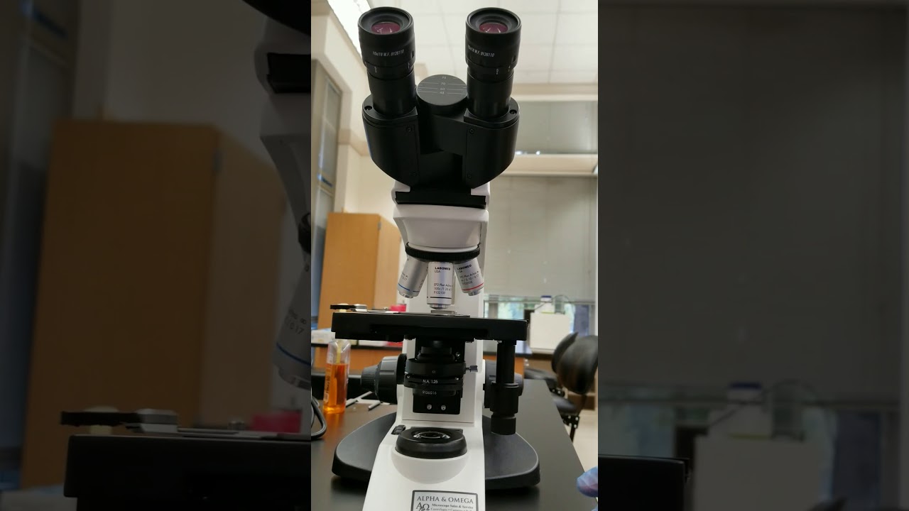 Introduction to Clinical Laboratory Science: the Microscope