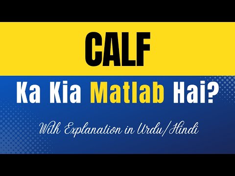 Calf Meaning in Urdu |'Calf Ka Kia Matlab Hota Hai'| Urdu/Hindi Explanation Included