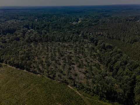 0 Tin Bridge Road, LaGrange, GA 30241 - Land - Real Estate - For Sale
