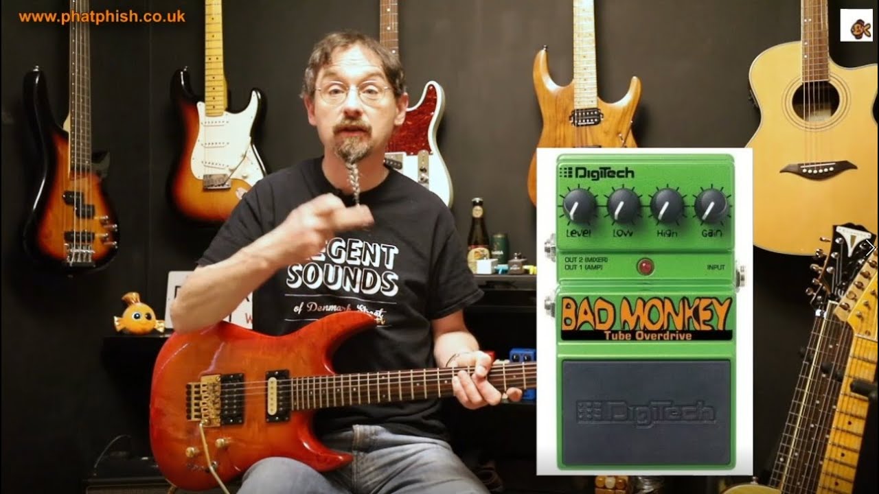 Is The Digitech Bad Monkey Really All That Special?
