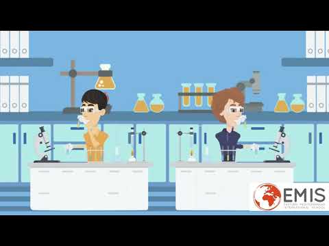 What is EMIS? - Animation