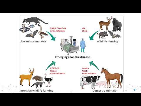 Infection and Modes of Transmission of Infection