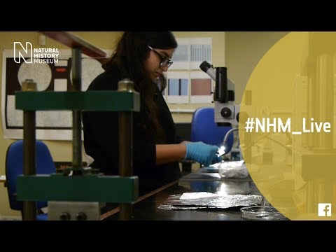 The science of shooting stars with Natasha Almeida | #NHM_Live