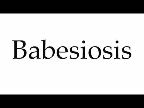 How to Pronounce Babesiosis