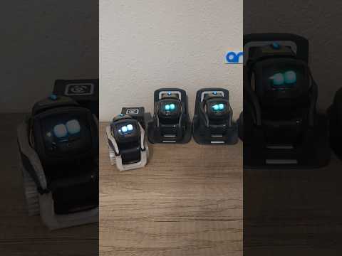 I couldn't not #heyvector #anki #ankivector #vector #ddlvector #ddl #vectorrobot #robot #robots #ai