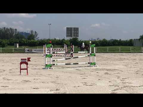Selangor turf club traning show 120cm clas
