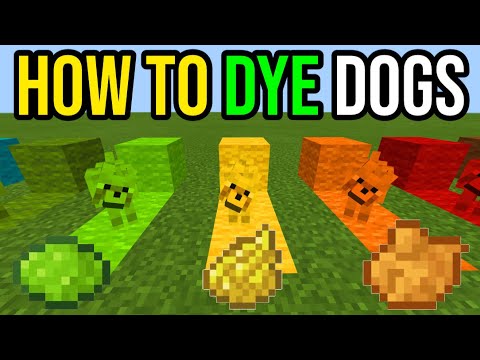 How To Dye Dogs In Minecraft - Make Coloured Wolves! (PS4/Xbox/PE)