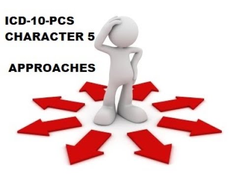 ICD-10-PCS Character 5 Approaches