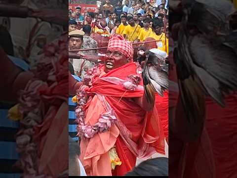 Kamakhya Temple Deodhani Utsav 2024