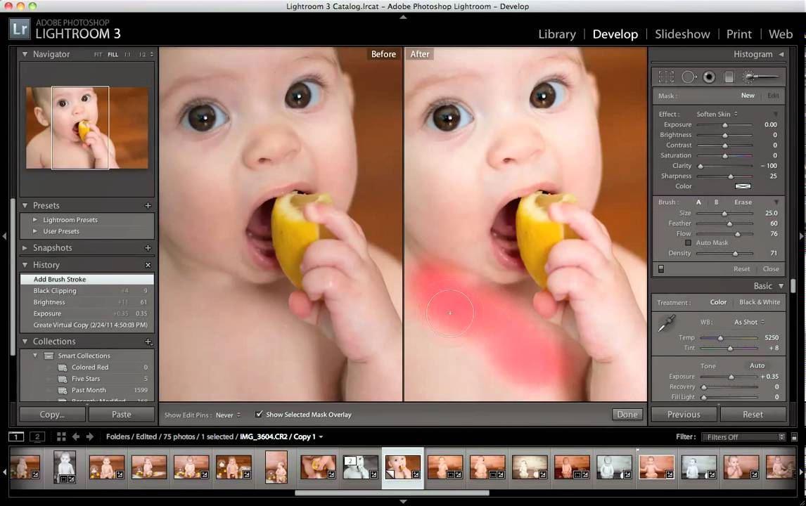 Lightroom Brush tutorial.mp4