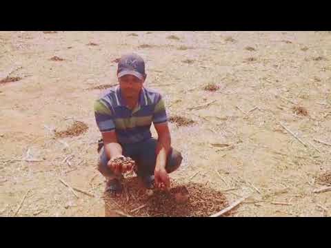 Climate Smart Agriculture Practices in Goat Rearing