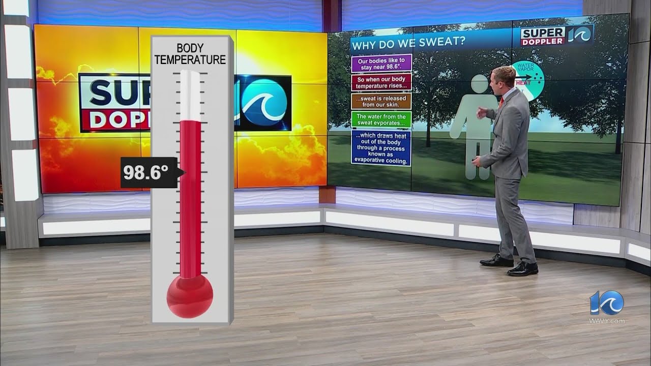 Weather explainer: Why we sweat