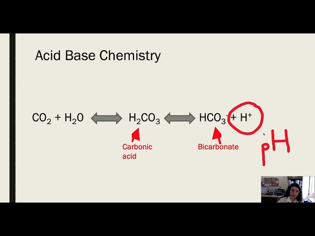 Understanding Acid-Base Balance: A Comprehensive Overview | Galaxy.ai