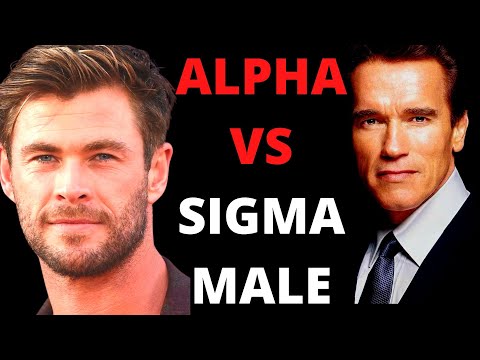 Alpha vs Sigma male personality type (differences) #sigma #entj #infj