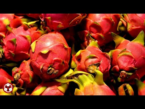 Fruits 水果 How to pronounce dragon fruit 火龙果ドラゴンフルーツ,용과,pitaya, dragefrugt, frutto del drago, pitaia,
