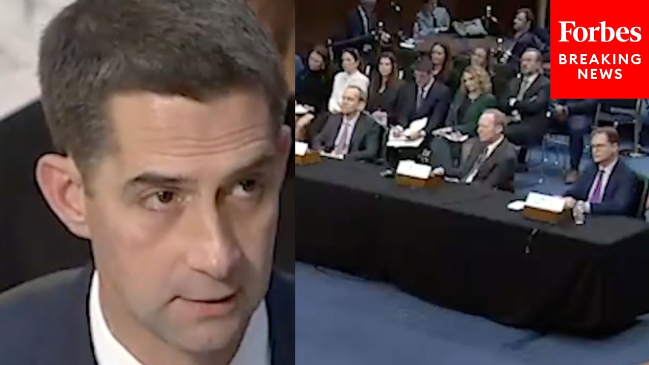 Cotton Asks Execs: Will You Help Arrests Of Makers Of AI Showing 'Trump Running Away With Ducks?'