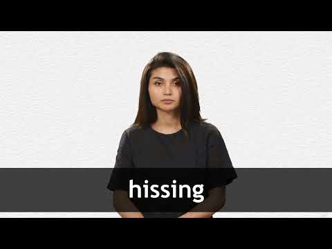 HISSING definition and meaning | Collins English Dictionary