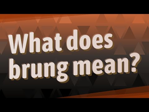 What does brung mean?