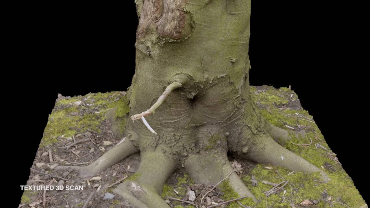 RealityCapture Showcase: Photorealistic Scans using Photogrammetry