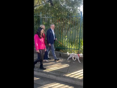 Anthony Albanese hits Reid polling booth with MP Sally Sitou