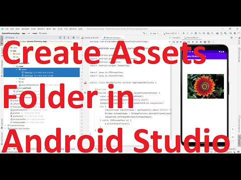 How to create Assets directory in your Android Studio environment? – programmerworld