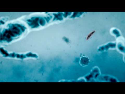 Teeth (2008) Cast, Crew, Synopsis and Movie Info