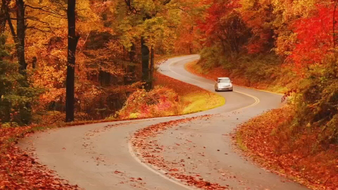 Kentucky road makes national list of best places to enjoy fall colors