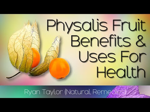 Physalis Fruit: Benefits and Uses (Cape Gooseberry)