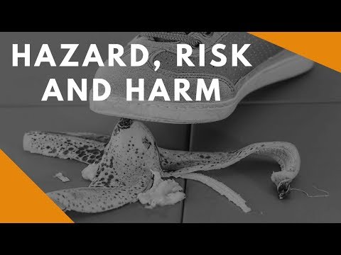 Hazard Risk and Harm: Definitions and Differences