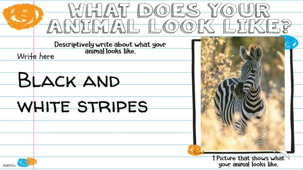 Noah McCracken   Google Slides Animal Research Project 1