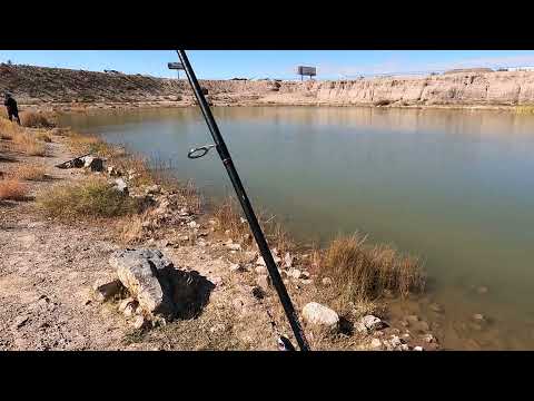 Trees Lake in Deming, NM, its getting pretty cool! #ADRIANUNKNOWN