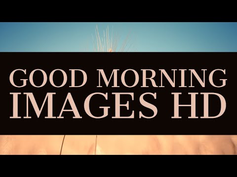 Good Morning Images HD 2021 [Best Quality] Amazing Collection