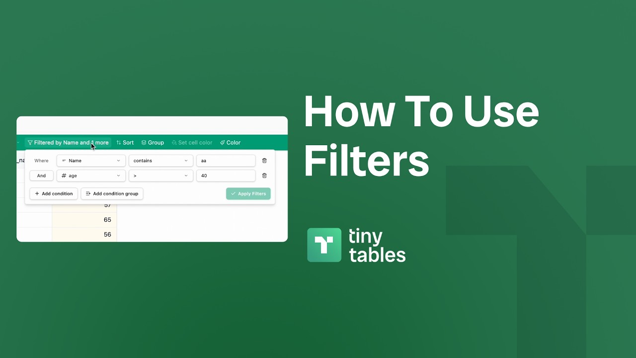 How to Filter Data in TinyTables | Conditions, AND/OR Logic Explained