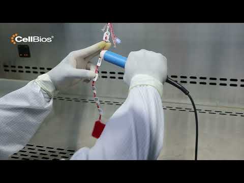 Transducer Protector - Dialysis Protector Latest Price, Manufacturers ...