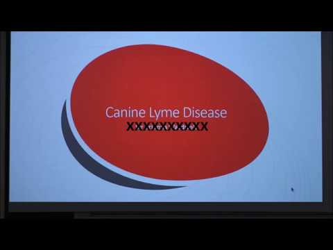 Canine Lyme Disease (2018)