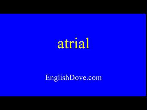 How to pronounce atrial in American English.