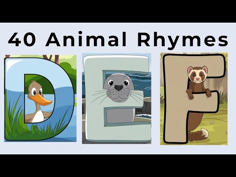 DEF Animal Rhymes - Alphabet Animals (40 Quick Facts)