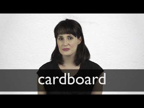'CARDBOARD' 的 简体中文 Translation | 柯林斯 英语 - 汉语词典