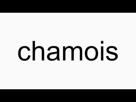 How to pronounce chamois