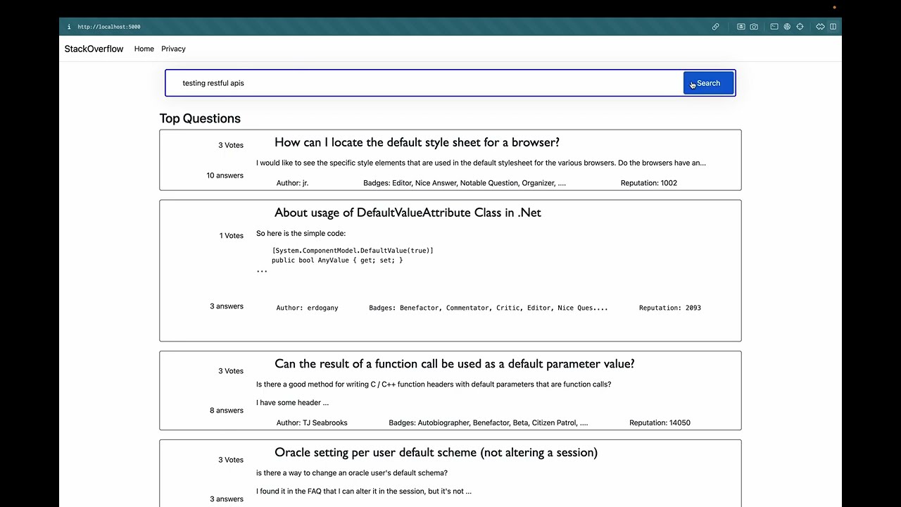StackOverFlow search functionality demo